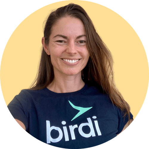 Birdi Blog Getting Started With Gis A Beginner S Guide To Geographic Information Systems